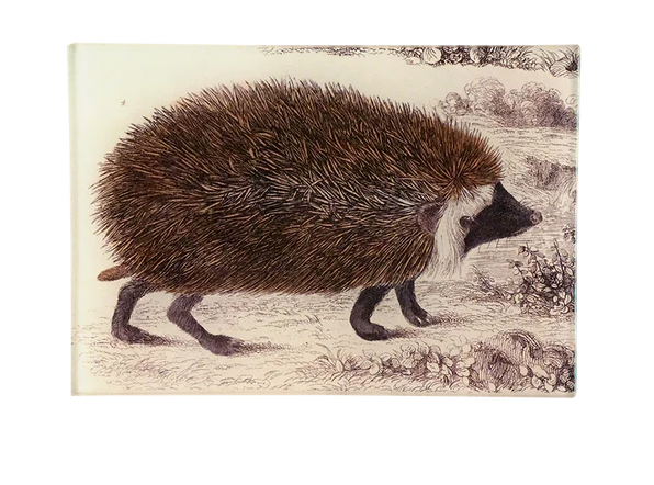 Hedgehog Mini Tray – Oxford Exchange Retail