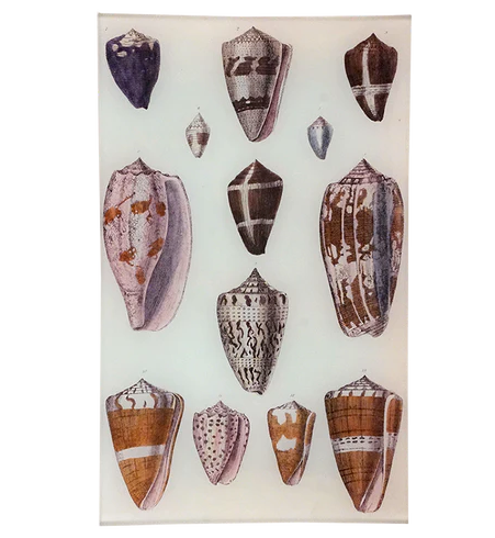 Sea Shells Rectangle Tray – Oxford Exchange Retail